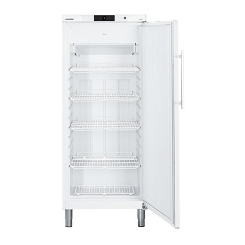 Upright freezer Liebherr 486L